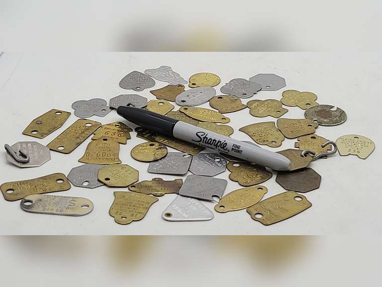 Group of 1960s & 1970s Dog License & Rabies Tags - Various States and ...