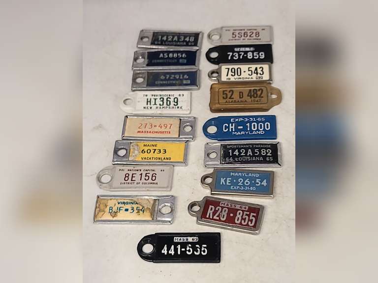 License Plate Key FOBs - VA, MA, Maryland, VA, Dist of Columbia, CT, NH ...