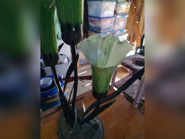 Lily lamp, 1 globe is broken - Northern Kentucky Auction, LLC