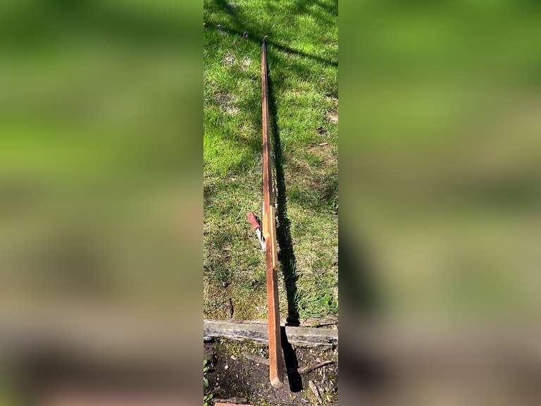 Tree limb cutter. - Northern Kentucky Auction, LLC