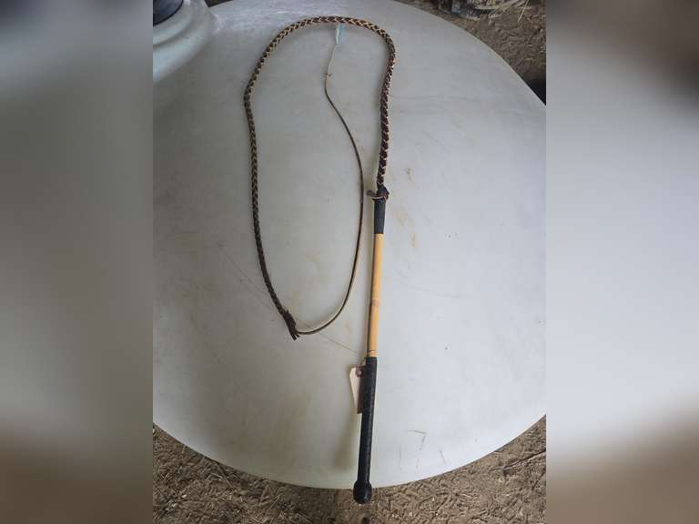 Leather bull whip - Northern Kentucky Auction, LLC