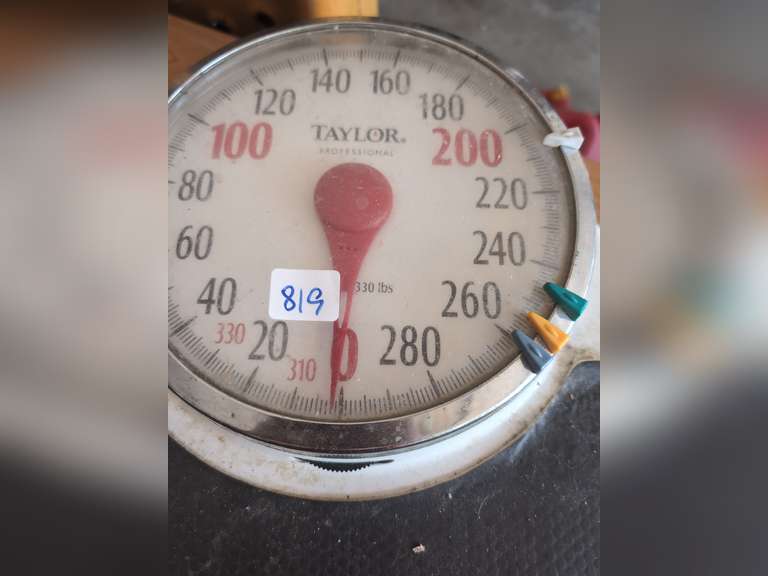 Taylor weight scale - Northern Kentucky Auction, LLC