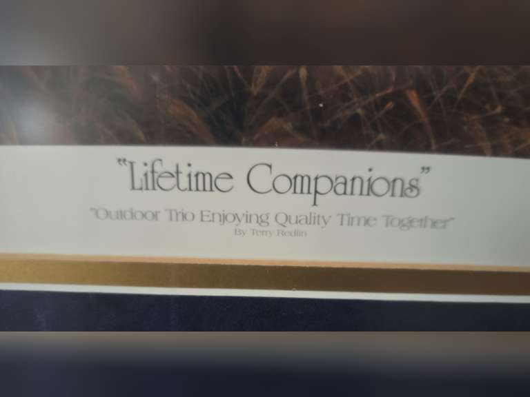 Framed and matted Lifetime Champions print, approx 43x29in - Northern ...
