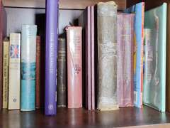 Two-shelf book clean out - Northern Kentucky Auction, LLC