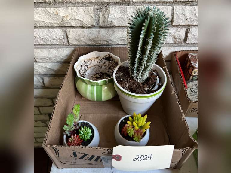 Cactus plant, fake plants and pots. - Northern Kentucky Auction, LLC