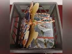 Milk Crate of Magazines - Northern Kentucky Auction, LLC