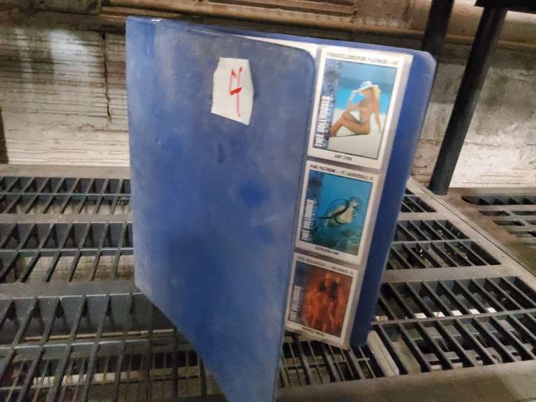 NAKED LADY TRADING CARDS - #1 Online Auctions LLC