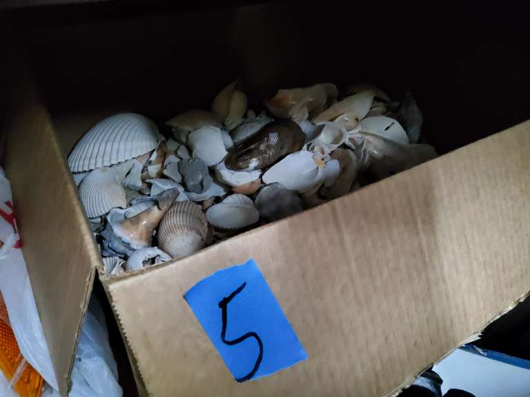 HITCH INSERT BIKE CARRIER, SEA SHELLS AND MORE! - #1 Online Auctions LLC