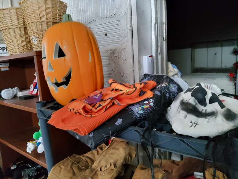 HALLOWEEN DECOR - #1 Online Auctions LLC