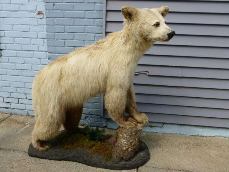 Johannes Auctions - Eden Valley #53 Estate Mancave / Sportsman ...