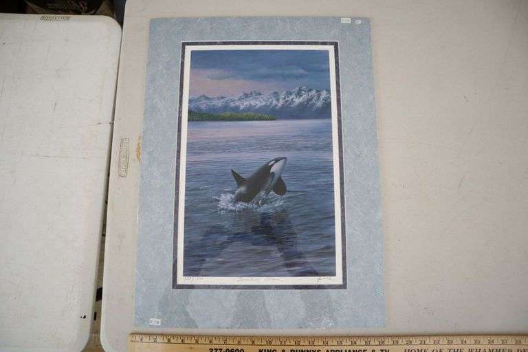 marine life art print breaching 338/950 by ed newbold, wrapped in ...