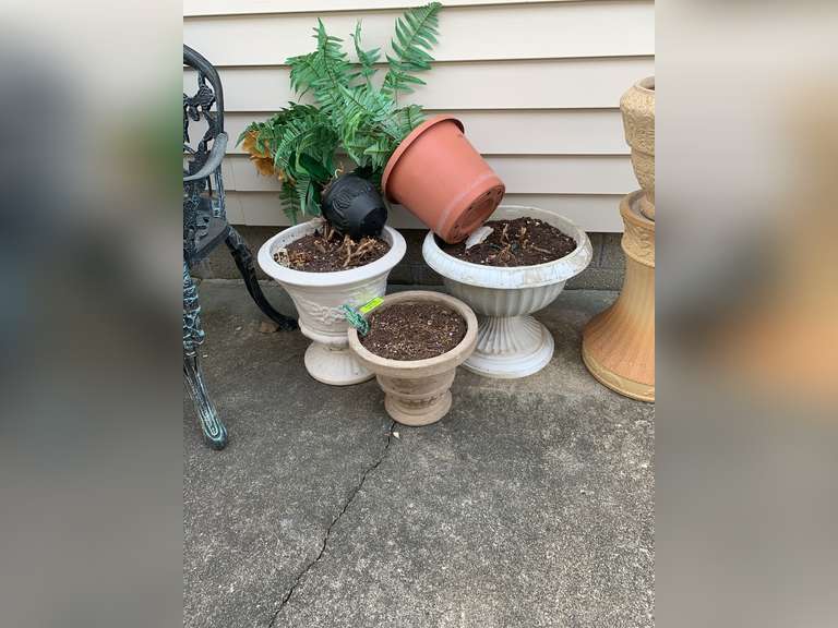 Three outdoor planters, one plastic, two Stone - Parrott Marketing Group