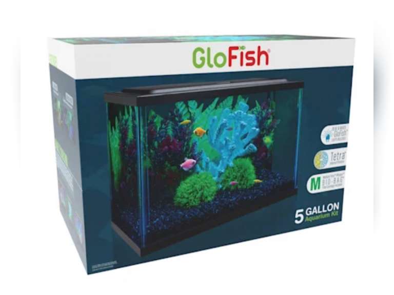 GloFish 5 Gallon Aquarium Kit With Blue & White LEDs, 16" L X 8.5" W X ...