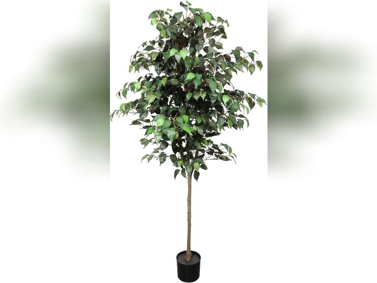 Ficus Tree Artificial,Silk Ficus Tree 6FT,Fake Ficus Tree Ficus Tree ...