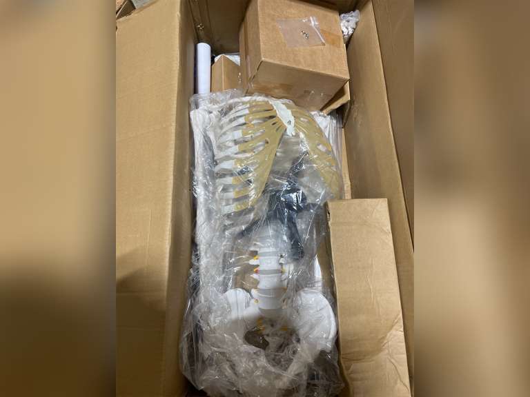 Medical Anatomical Human Skeleton Model, Life Size Medical Human ...