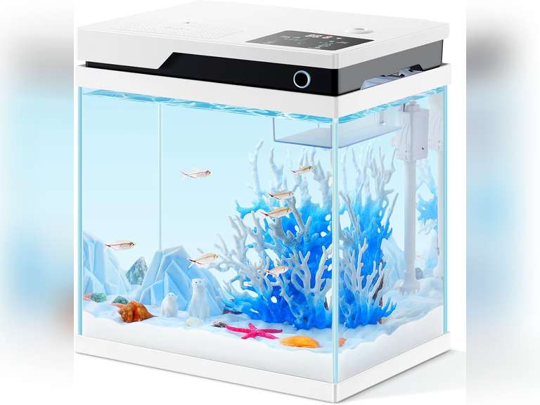 PONDON 4 Gallon Smart Fish Tank, Glass Betta Tank with Filter and Light ...