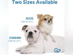 Green Pet Bonejour Leash, White Multi - Standard Size (0.98 W x 47 L ...