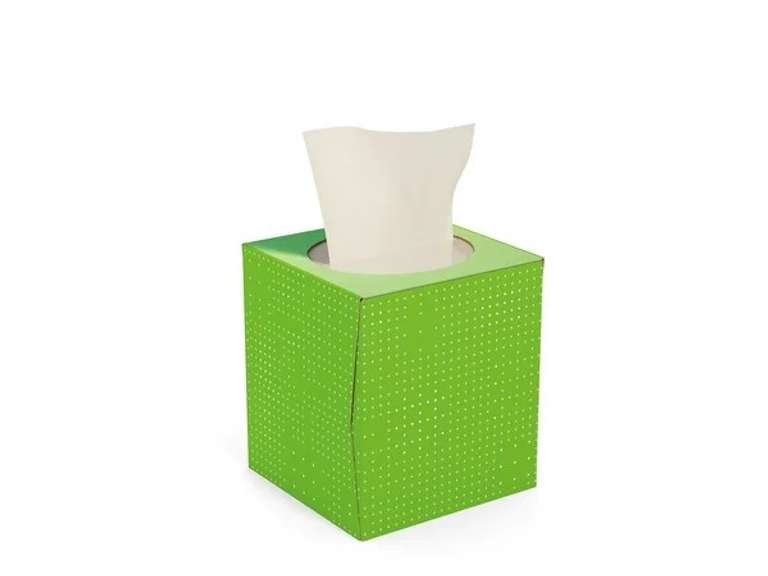 Perk Ultra Soft Standard Tissue 2-Ply 95 Sheets/Box PK57779CC 6 boxes ...