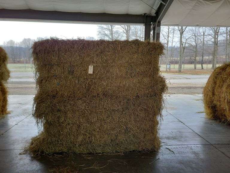 2 Large Squares 1st Grass - Rogers Community Auction Inc.