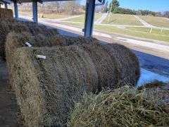 2 Round Bales 2nd Orchard Grass (4x4) - Stored Inside - Rogers ...