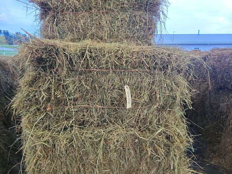 19 2nd Grass Mix - Rogers Community Auction Inc.