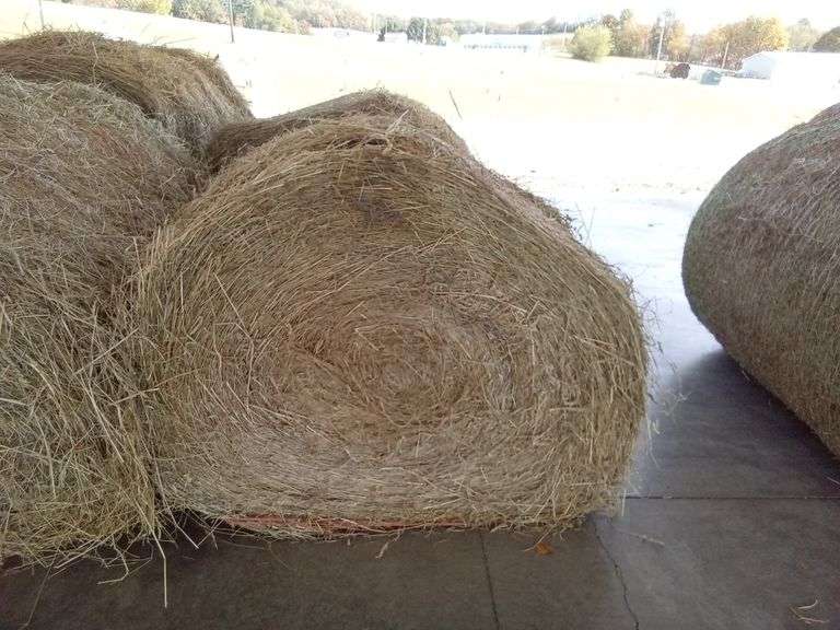 2 Round Bales 1st Grass (4x4) Stored Inside - Rogers Community Auction Inc.