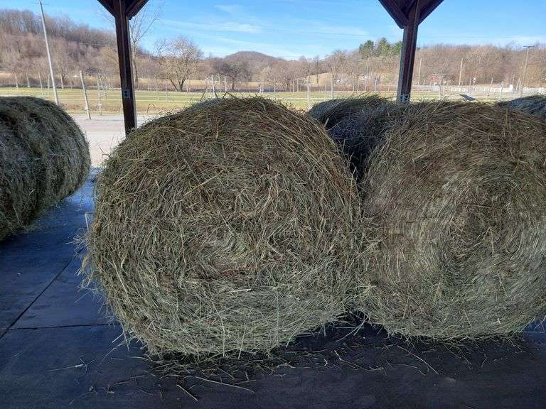 2 Round Bales 1st Orchard Grass (4x4) Stored Inside - Rogers Community ...