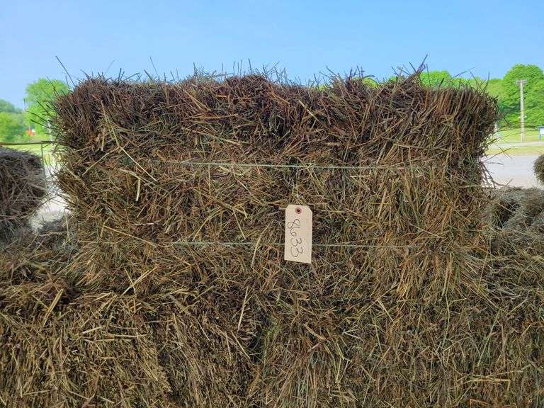 20 1st Timothy Grass Mix - Rogers Community Auction Inc.