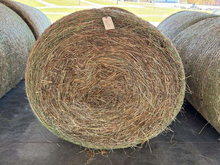 2 Round Bales 1st Orchard Grass (4x4) Stored Inside - Rogers Community ...