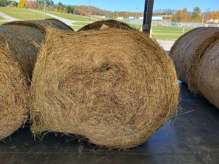 2 Round Bales 1st Timothy Orchard Grass (4x4) Stored Under Cover ...