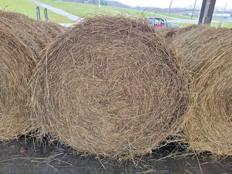 2 Round Bales 1st Orchard Grass Mix (4x4) Stored Inside - Rogers ...