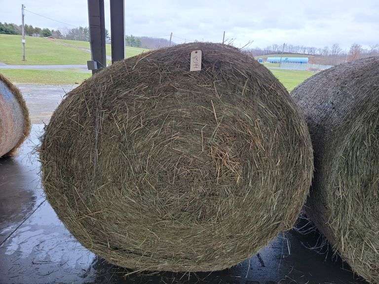 2 Round Bale 1st Grass (4x5) Stored Inside - Rogers Community Auction Inc.