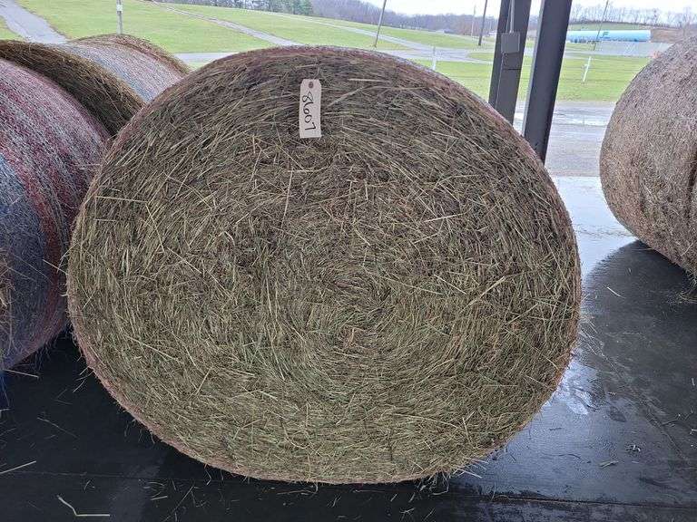 2 Round Bales 1st Orchard Grass Mix (4x4) Stored Under Tarp - Rogers ...