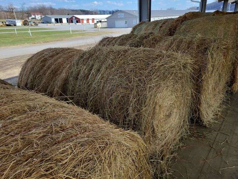 2 Round Bales 1st Timothy Orchard Grass (4x4) Stored Inside - Rogers ...