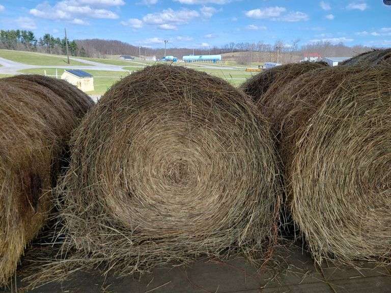 2 Round Bales 1st Timothy Orchard Grass (4x4) Stored Inside - Rogers ...