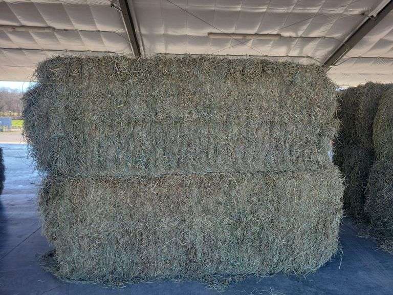 2 Large Squares 2nd Alfalfa Mix - Rogers Community Auction Inc.