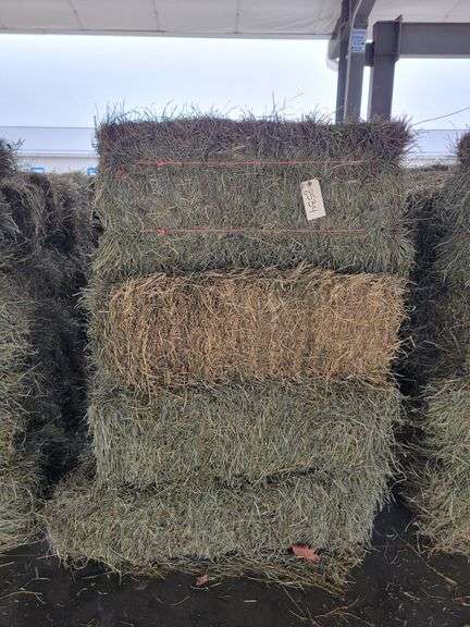 20 2nd Timothy Alfalfa Orchard Grass Rogers Community Auction Inc