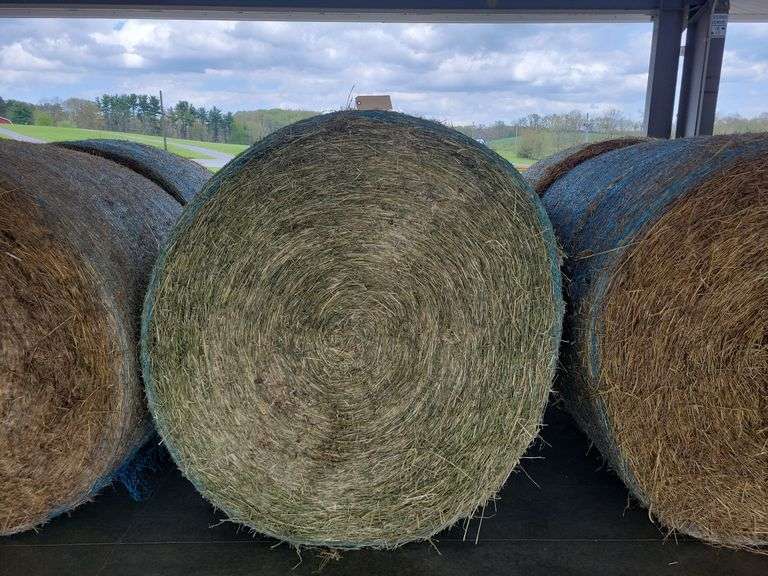 2 Round Bales 1st Orchard Grass Mix (4x5) Stored Inside - Rogers ...