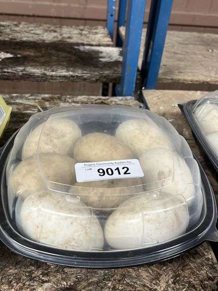 8 Fertile Toulouse / Emden Goose Eggs - Rogers Community Auction Inc.