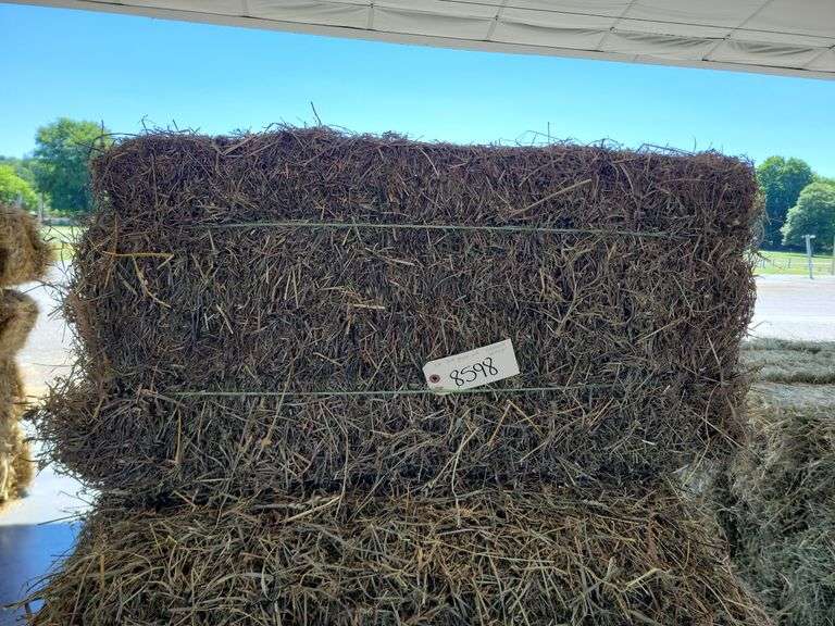 12 2nd Grass Alfalfa " Excellent Quality" - Rogers Community Auction Inc.