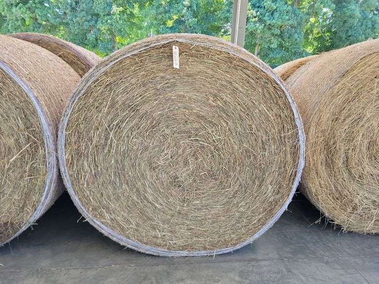 2 Round Bales 1st Orchard Grass Timothy Mix (4x5) Stored Inside (2024 ...