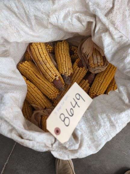 5 Bags Ear Corn - Rogers Community Auction Inc.