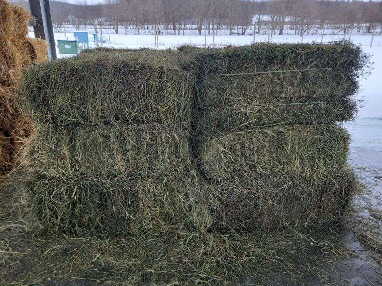 28 2nd Alfalfa Mix - Rogers Community Auction Inc.