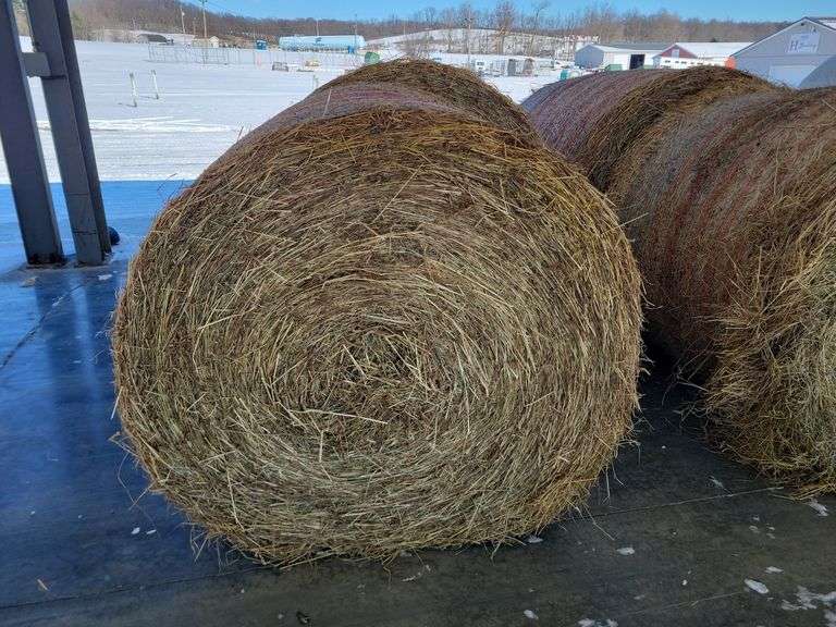 2 Round Bales 1st Orchard Grass Mix (4x4) Stored Tarped - Rogers ...
