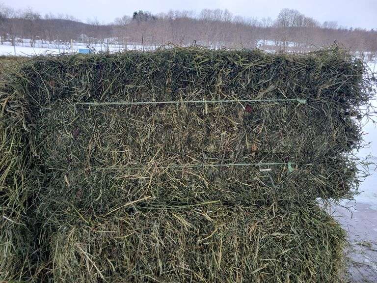 28 2nd Alfalfa Mix - Rogers Community Auction Inc.