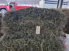 10 2nd Orchard Grass Mix - Rogers Community Auction Inc.