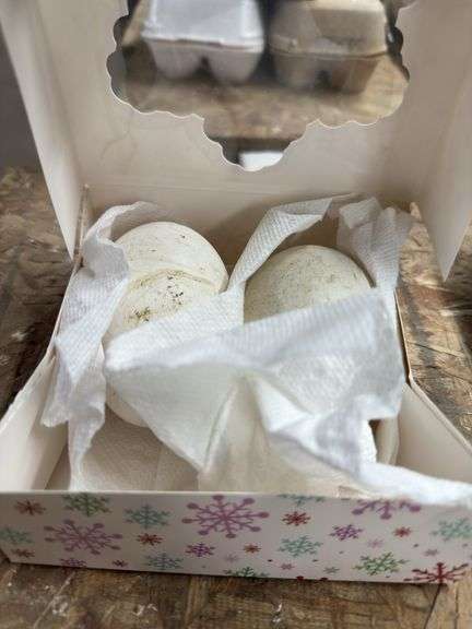 2 Fertile Pilgrim Goose Eggs Rogers Community Auction Inc