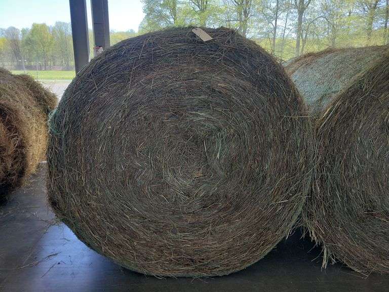 2 Round Bales 1st Orchard Grass (4x5) Stored Inside - Rogers Community ...