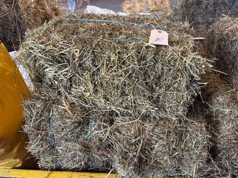 5 Mini Bales 3rd Cut Alfalfa Grass Mix - Rogers Community Auction Inc.