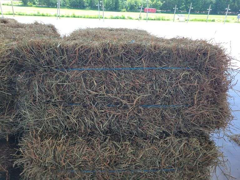 10 3rd Grass Mix - Rogers Community Auction Inc.